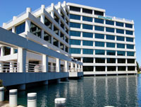 AlphaDetail market research - Contact us